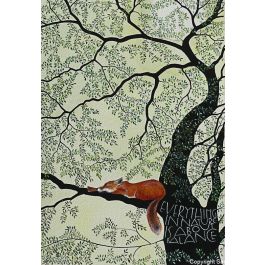 Balance By Sam Cannon - Down To Earth Cards