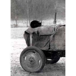 Brian Mortimore’s Tractor Artist: Chris Chapman - Down To Earth Cards