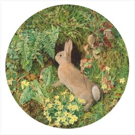 Rabbit amid Ferns and Flowering Plant Artist: William J. Webbe