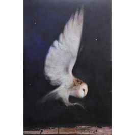 Falling through starlight By Catherine Hyde - Down To Earth Cards