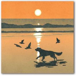 Giving Chase - Megan Hall - Down To Earth Cards