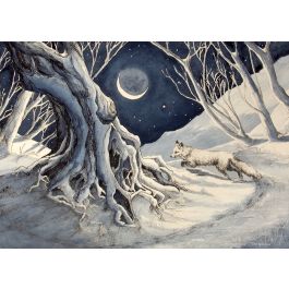 Midnight Moon pen ink & watercolour by Jane Keay - Down To Earth Cards