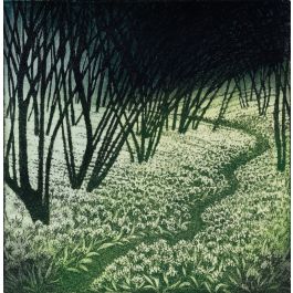 Ramson Path Etching Morna Rhys Art Card - Down To Earth Cards