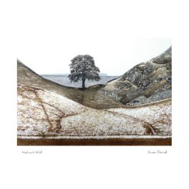 Hadrian's Wall by Simon Dorrell - Down To Earth Cards