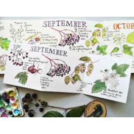 September Nature Journaling By Angela Hennessy - Down To Earth Cards