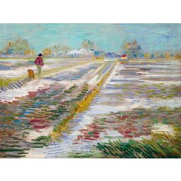 VINCENT VAN GOGH Landscape with Snow|1888 - Down To Earth Cards