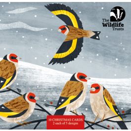 Wildlife Trust mixed ART Christmas pack of 10